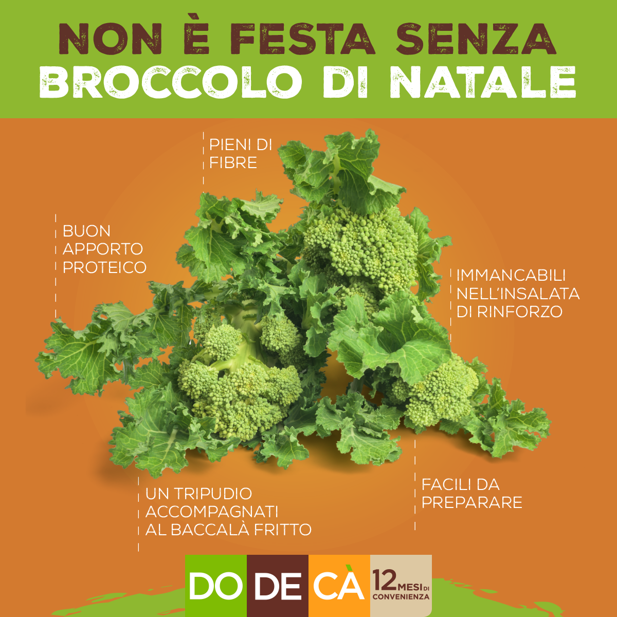 Broccolo di Natale - Dodecà